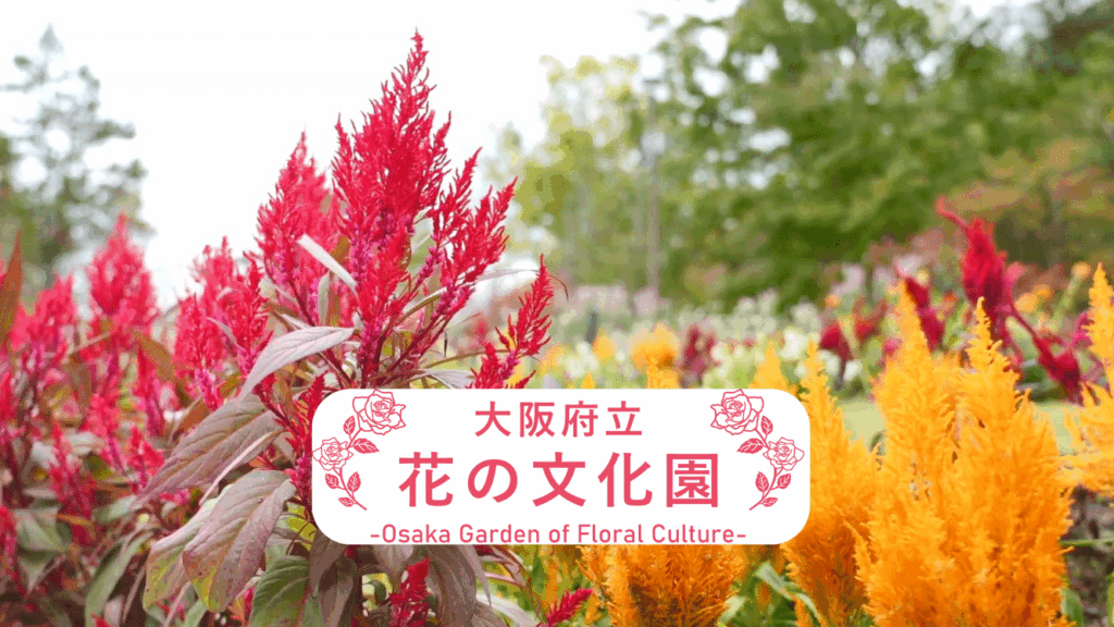 イベント | 大阪府立 花の文化園